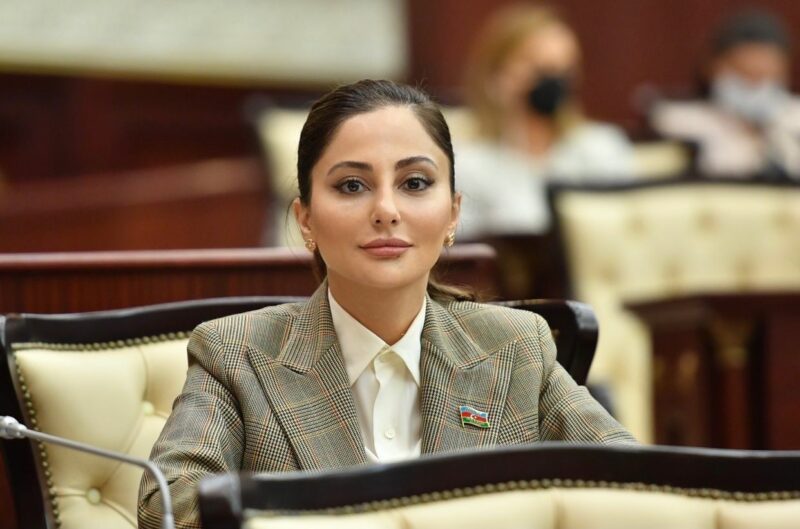 Azərbaycanın təklif etdiyi 5 prinsip beynəlxalq normalara söykənir ...