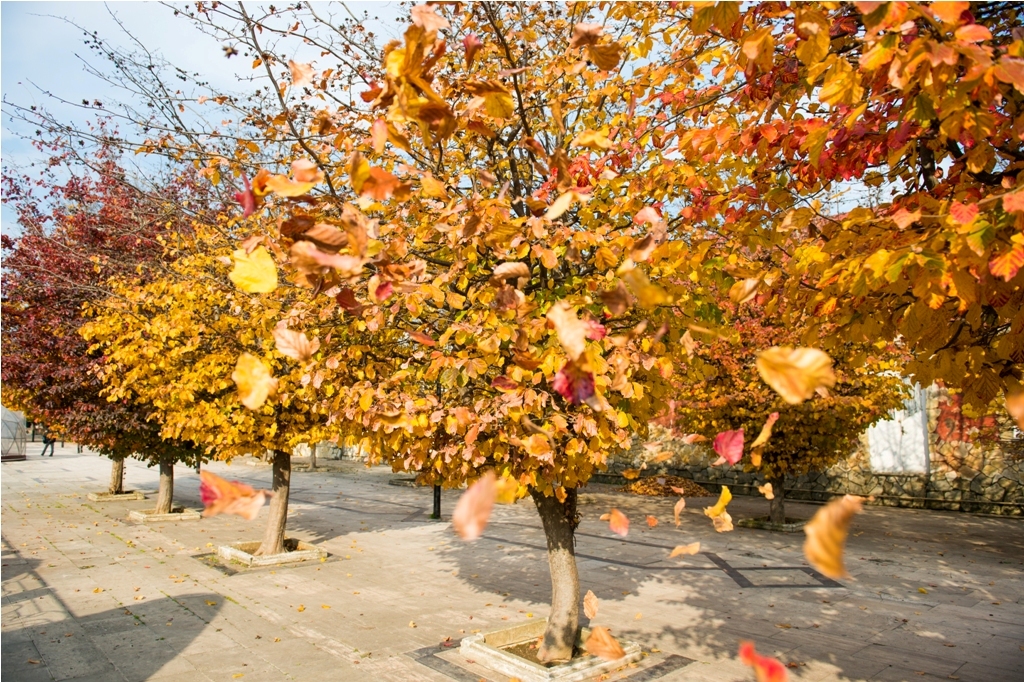 Lənkəranın payız mənzərəsi - FOTOREPORTAJ | Modern.az