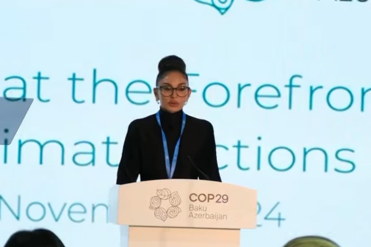 Mehriban Əliyevadan COP29-la bağlı daha bir PAYLAŞIM